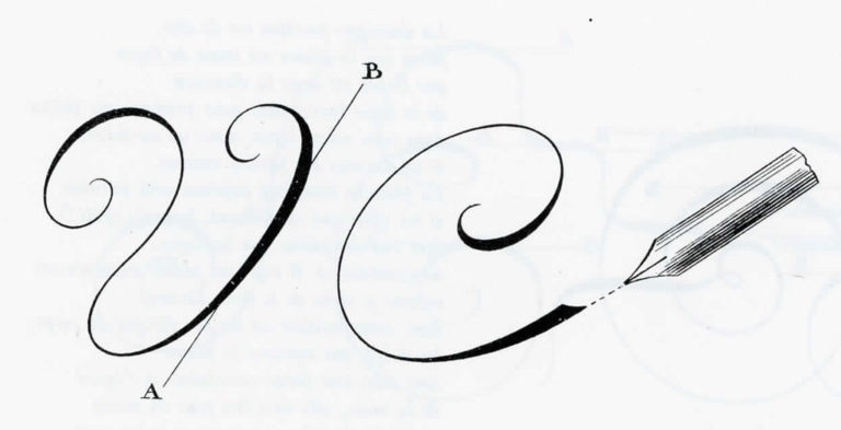 The Italian Hand - Penna Volans