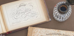 How to study from exemplars - Penna Volans